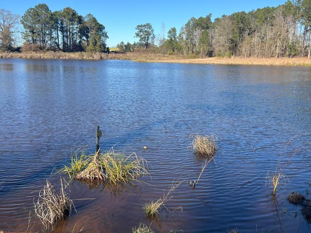 0 Marchants Dairy Rd, Rhine, GA 31077 | MLS #10677 | Compass