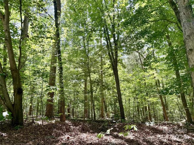 0 Margie Ln, Norwood, NC 28128 | MLS #4273