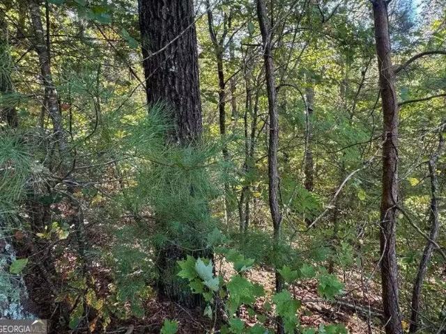 0 Marie Dr Lot 1878, Talking Rock, GA 30175 MLS 10390611