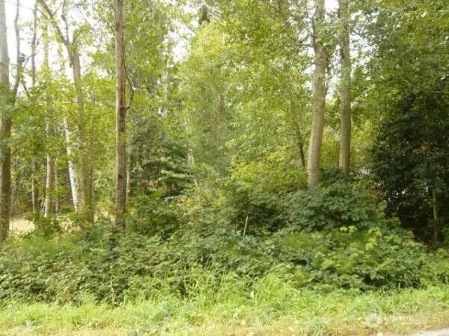 0 Marine Dr, Point Roberts, WA 98281 | MLS #2439