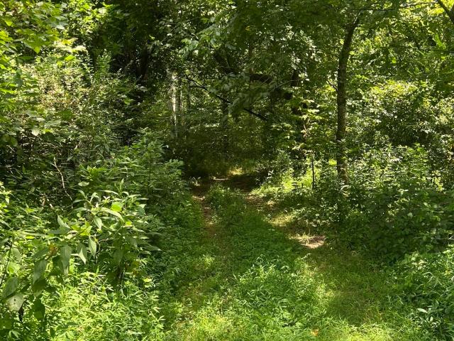 0 Martin Road