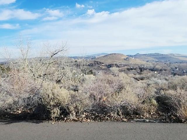 0 Martini Rd, Unit 0MARTINI ROAD, Sparks, NV 89434 | MLS #260001