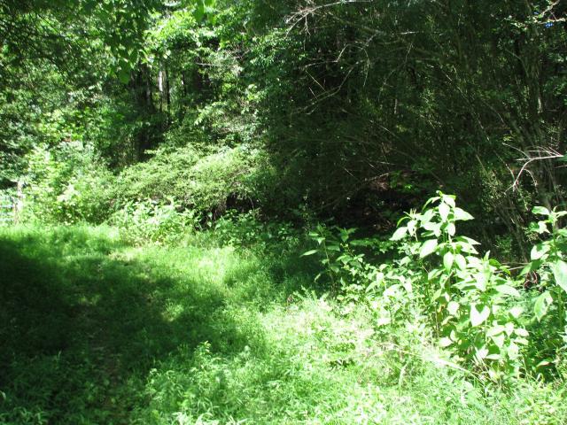 0 Matthews Hollow Rd