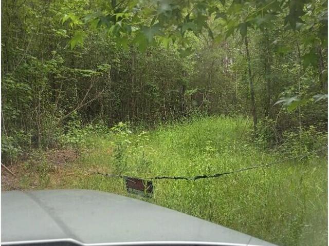 0 Maules Point Road