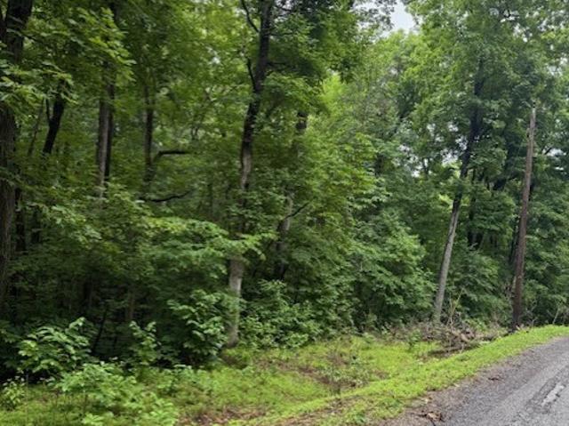 0 Mayapple Dr, Cadiz, KY 42211 | MLS #2900 | Compass