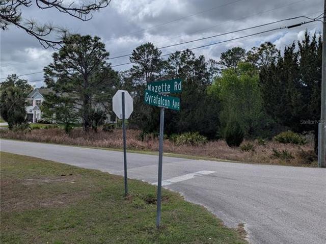 0 Mazette Rd, Weeki Wachee, FL 34613 | MLS #TB8485 | Compass