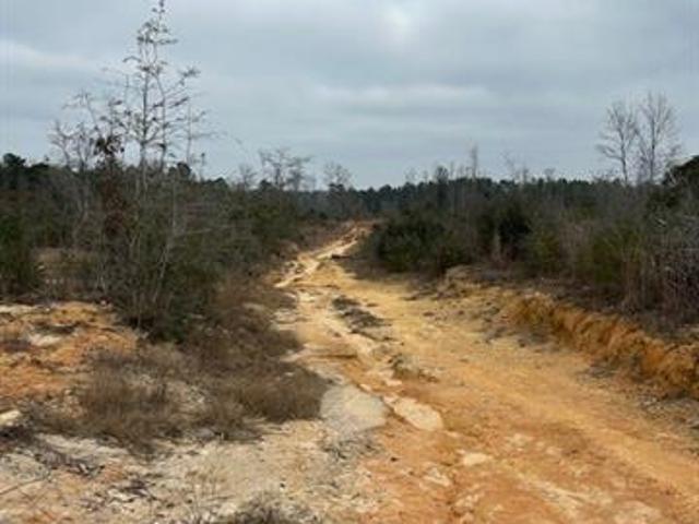 0 McCauley Sheridan Rd, Bogalusa, LA 70427 | MLS #2543