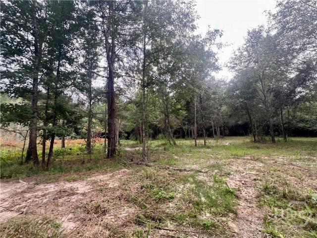 0 McCarty Dodd Rd