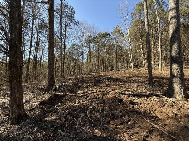 0 McClanahan Rd