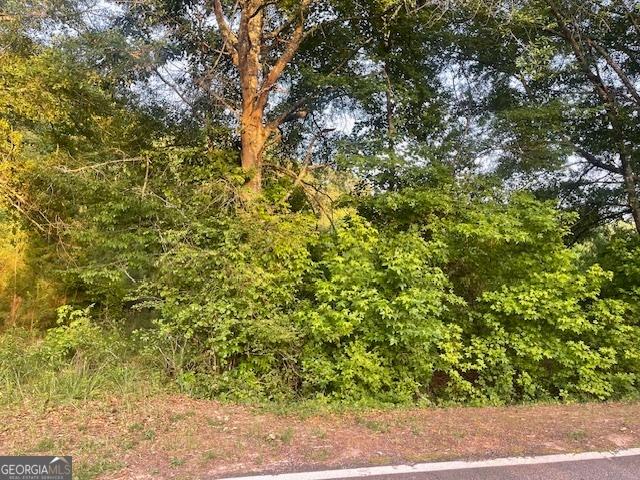 0 McCrary Road Tract 3