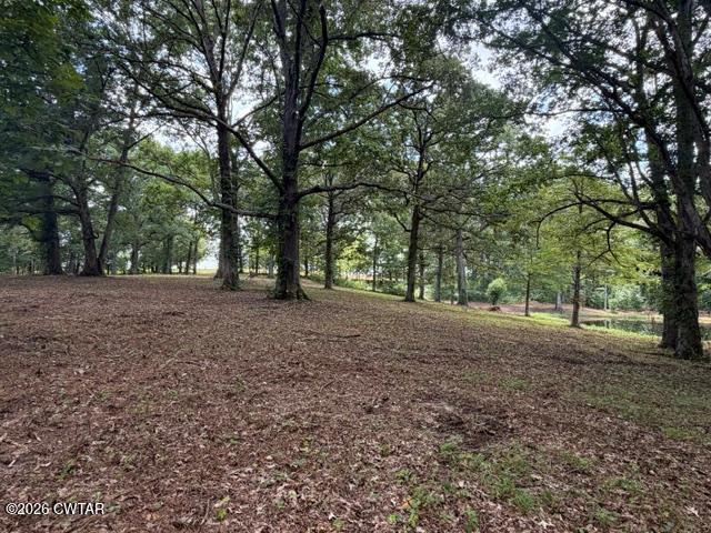 0 McBride Cemetery Rd, Sardis, TN 38371 | MLS #2505