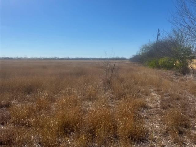 0 Mcmaster St, Alice, TX 78332 | MLS #471750