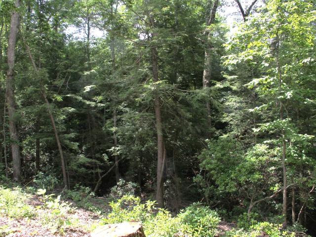 0 Meadow Dr