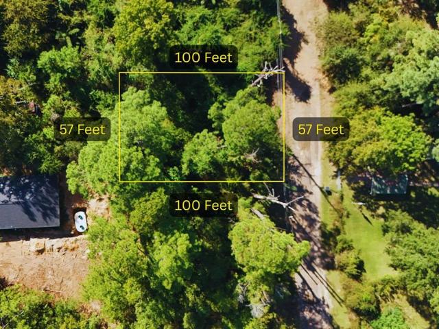 0 Meadow Dr, Frankston, TX 75763 | MLS #21136 | Compass