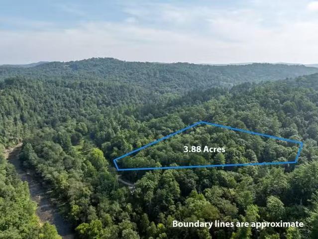 0 Meadow Ln, Talking Rock, GA 30175 MLS 7436754