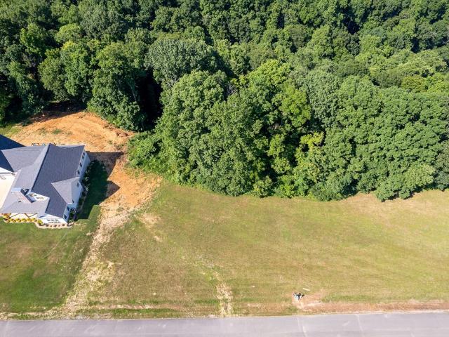 0 Meadowview Ln
