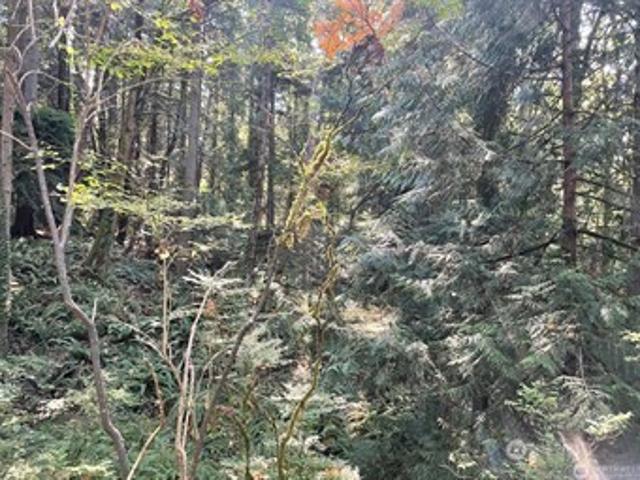 0 Melcher St, Port Orchard, WA 98366 | MLS #2458 | Compass
