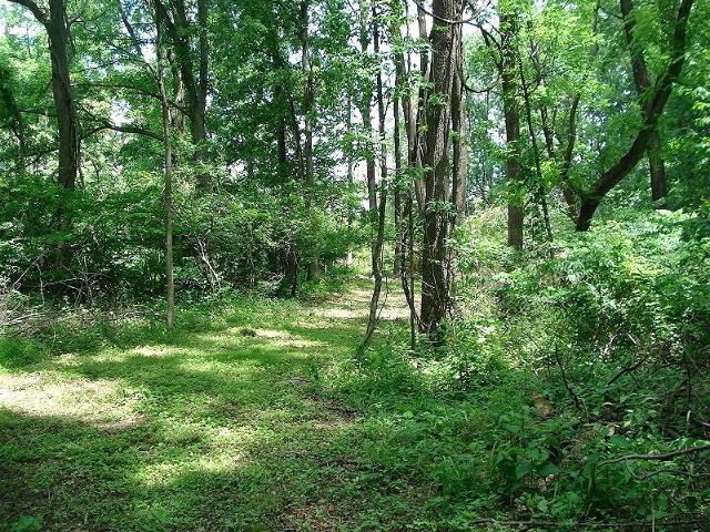 0 Mellicks Woods Rd, Bloomsbury, NJ 08804 | MLS #3961 | Compass