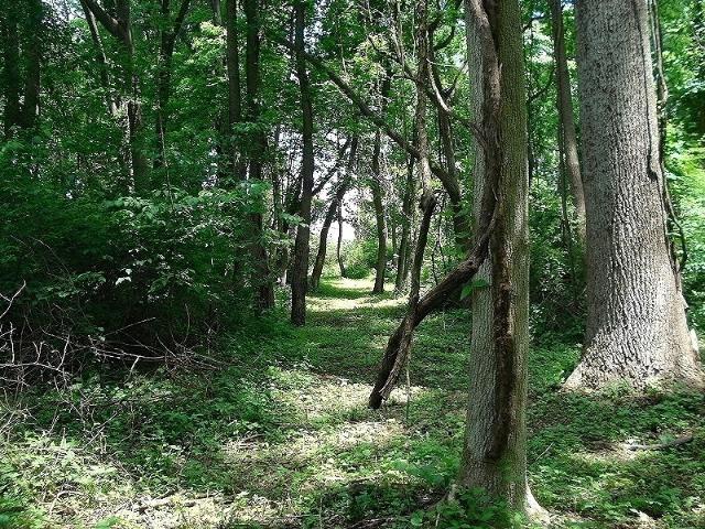 0 Mellicks Woods Rd