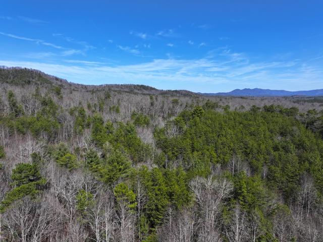 0 Meredith Dr, Turtletown, TN 37391 | MLS #425270