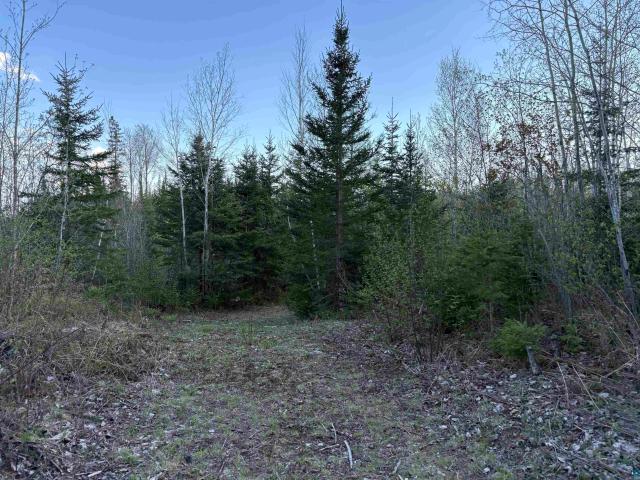 0 Mertig Rd, Glidden, WI 54527 | MLS #6119