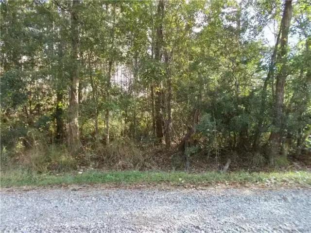 0 MICHIGAN AVENUE, CODEN, AL 36523 Single Family Residence For.