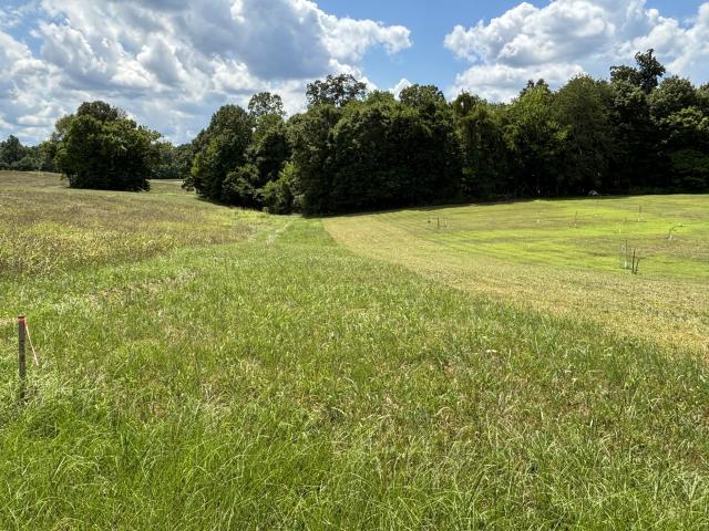 0 Middle Lick Creek Rd, Lyles, TN 37098 | MLS #3131 | Compass