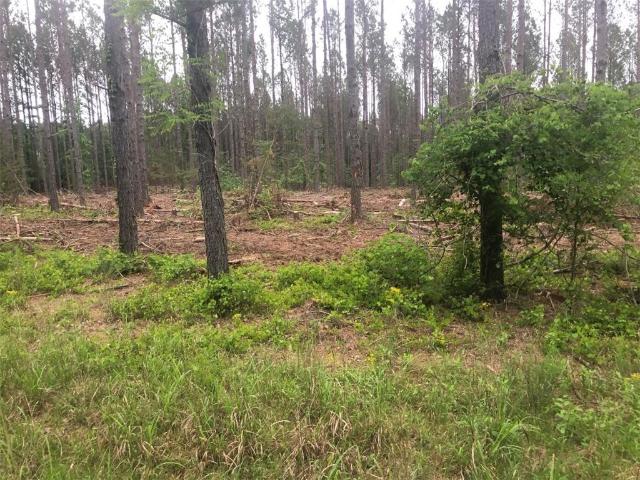 0 Mike McConnell Ave, Iva, SC 29655 | MLS #20287 | Compass