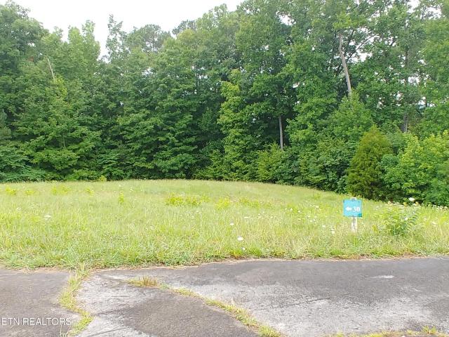0 Mill Drive