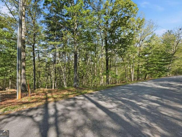 0 Mill Trace Court