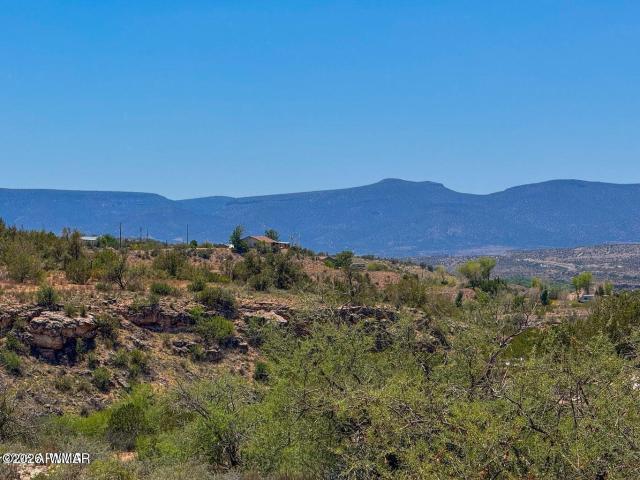 0 Millenium Way 4.17 Acres