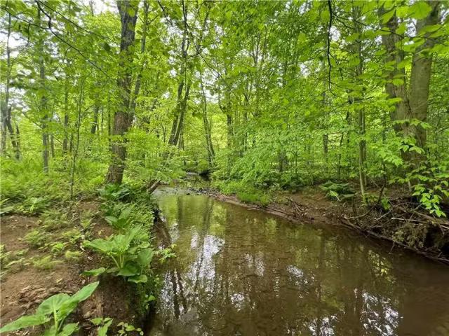 0 MILLER RUN ROAD, MEYERSDALE, PA 15552 Farm For Sale MLS# 16.