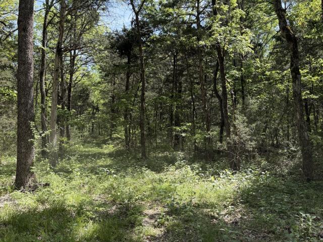 0 Millersburg Road