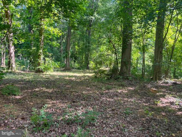 0 Misty Way, Hartly, DE 19953 | MLS #DEKT2045