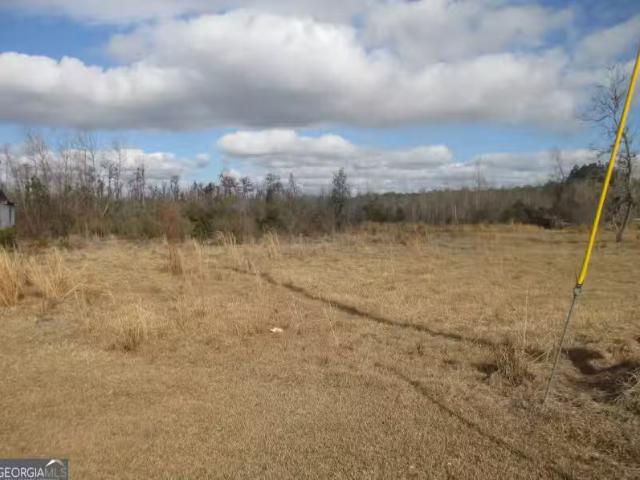 0 Mizell Rd, Pearson, GA 31642 MLS 10452248