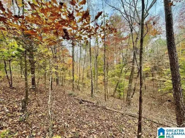 0 MJHS BONE DRY ROAD # 1, WARRIOR, AL 35091 Vacant Land For Sa.
