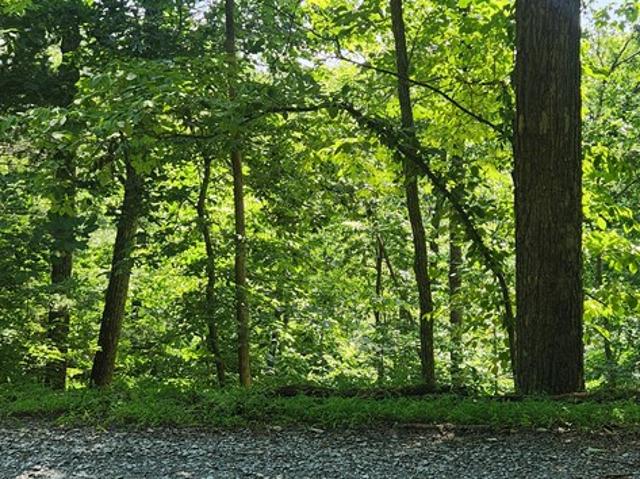 0 Mohawk Trail, Ellijay, GA 30540 | MLS #406863