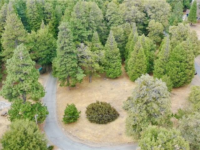 0 Mojave River Rd, Cedarpines Park, CA 92325 | MLS #IG25224 | Compass
