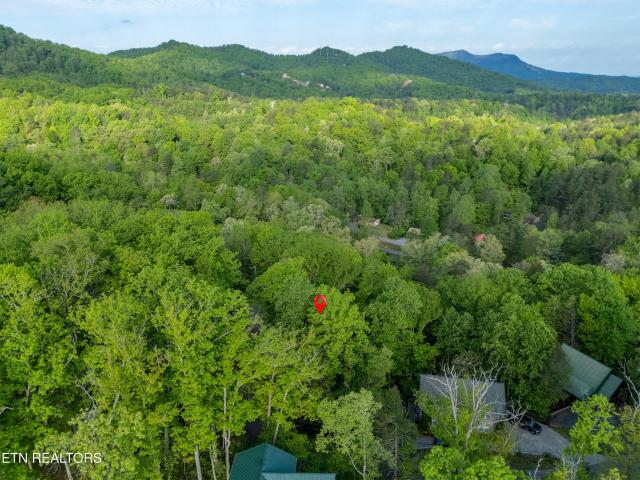 0 Monte Wood cir, Pigeon Forge, TN 37863