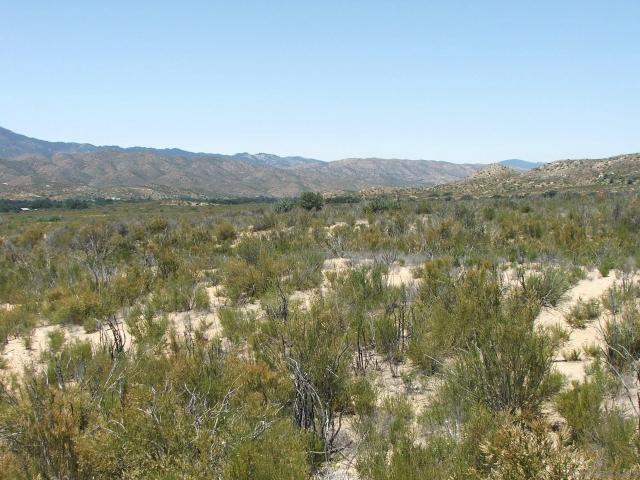0 Montezuma Valley Rd, Unit 1961002, Ranchita, CA 92066 | MLS #210031