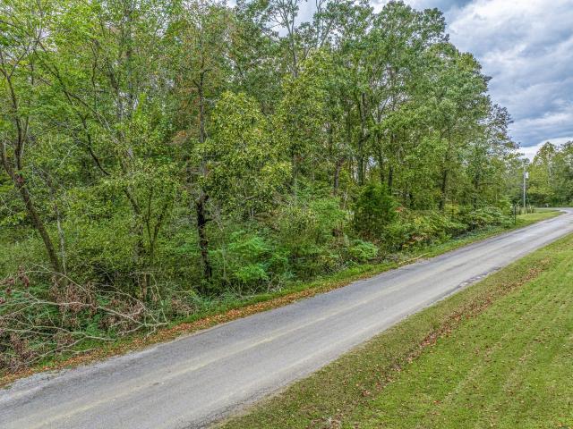 0 Moss Branch Rd, Bon Aqua, TN 37025 | MLS #3177