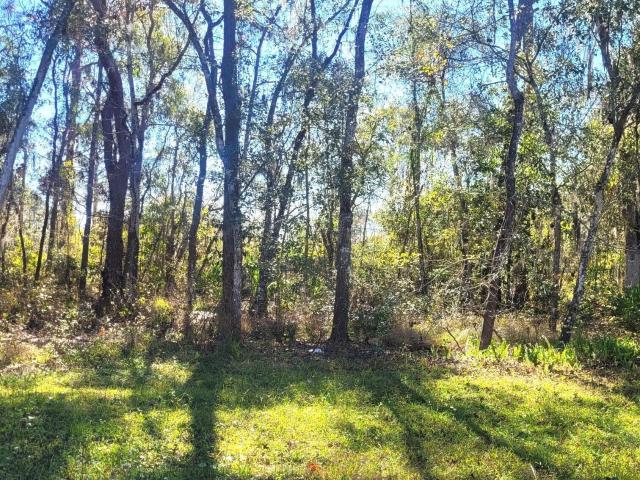 0 Moss Dr, St. Augustine, FL 32092 | MLS #2128