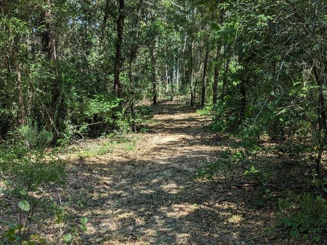0 Moss Hill Rd, Chipley, FL 32428 | MLS #772674