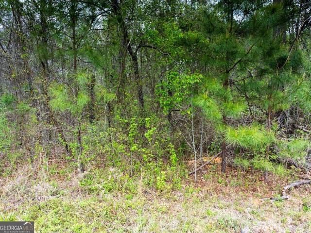0 Morris Station TRACT A