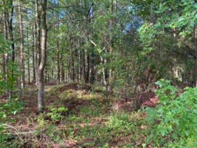 0 Mount Shoals Road