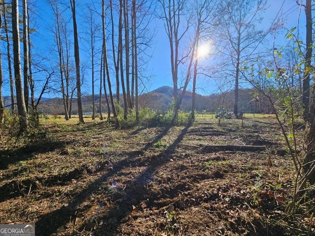 0 Mountain Meadows Drive