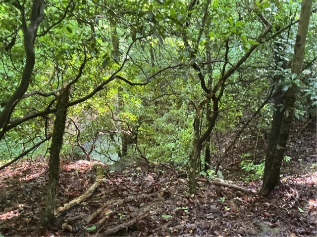0 Mountain Brook Road
