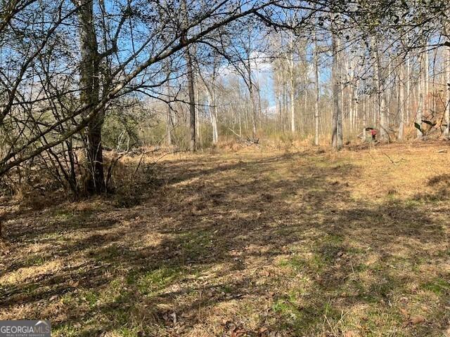 0 Mountain Creek Dr, Rome, GA 30161 | MLS #10666