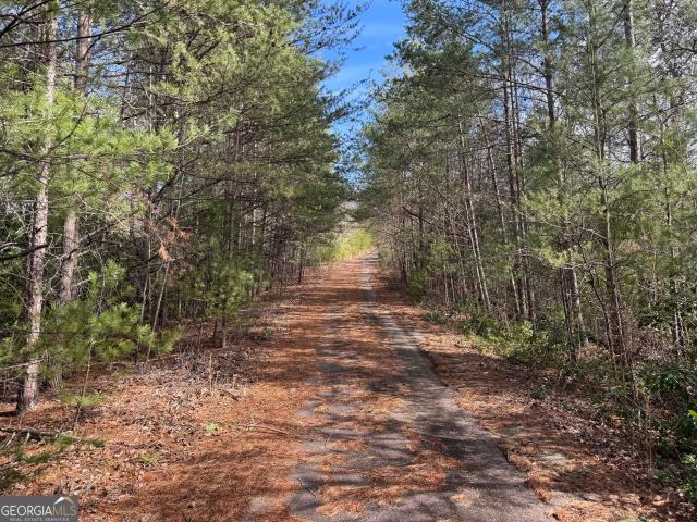 0 Mountain Lion Trail