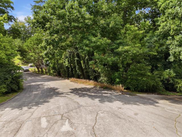 0 Mountain Wood Lane